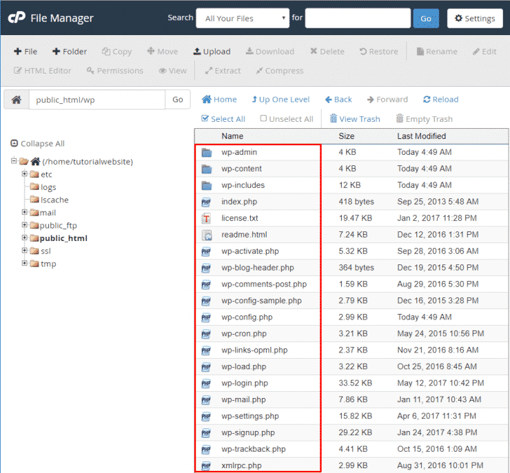How to View Files and Folders on the cPanel Server in the File Manager