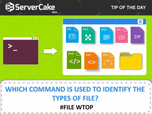 Which command is used to identify the types of file? - ServerCake