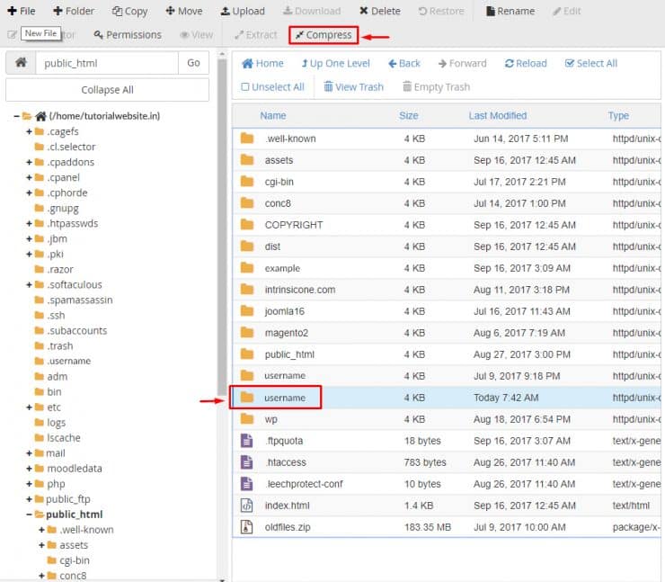 How to compress the Files in cPanel? - ServerCake