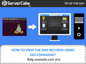 How to view the DNS records using Dig command? - ServerCake