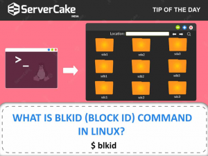 What is blkid (block id) Command in Linux? - ServerCake
